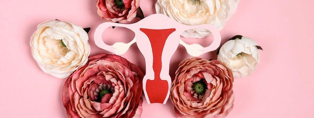 What is Cervix Penetration? Is It Even Possible? | Peanut