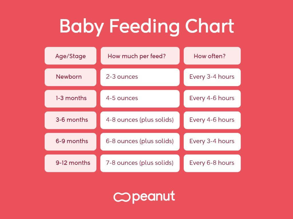 Your Essential Formula Feeding Guide: All the Info | Peanut