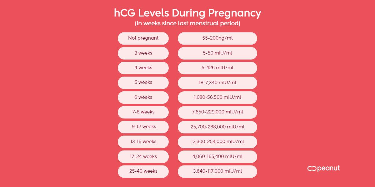 hCG Levels by Week: What You Need to Know | Peanut