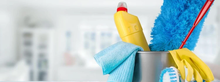Does A Bleach Pregnancy Test Work Heres What The Science Says