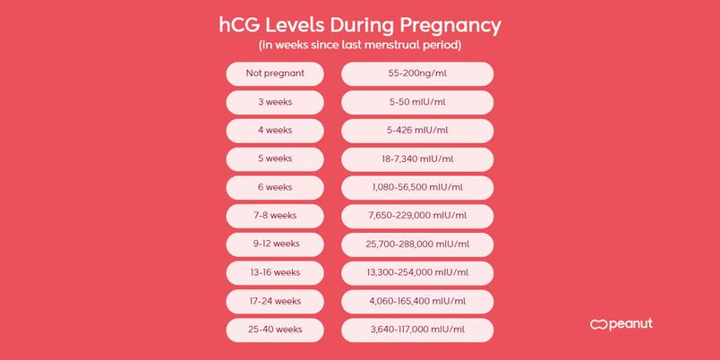 hCG Levels by Week: What You Need to Know | Peanut